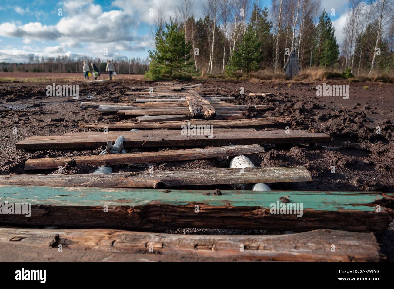 Damaged wetland hi-res stock photography and images - Alamy