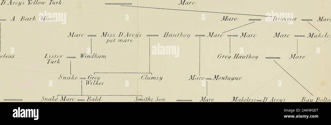 Lightwood Family Tree