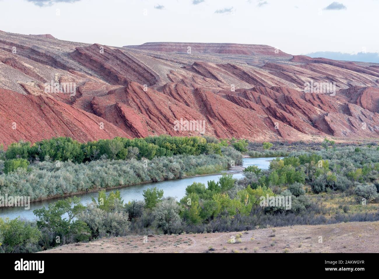 San Juan River and the Lime Ridge Anticline, Southern Utah Stock Photo ...