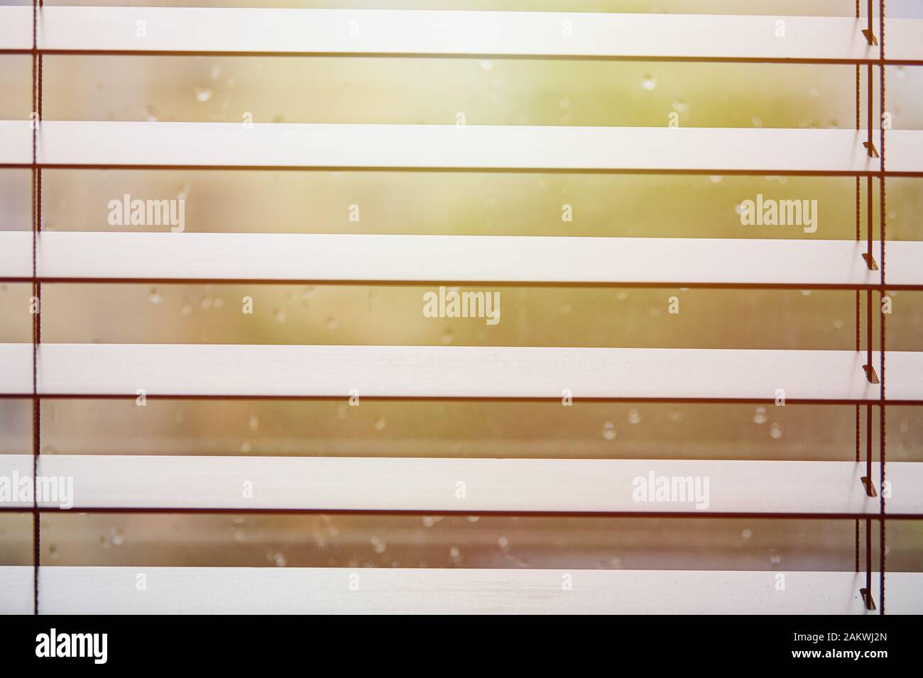 Office blinds. Modern fabric blinds. Office meeting room lighting range ...