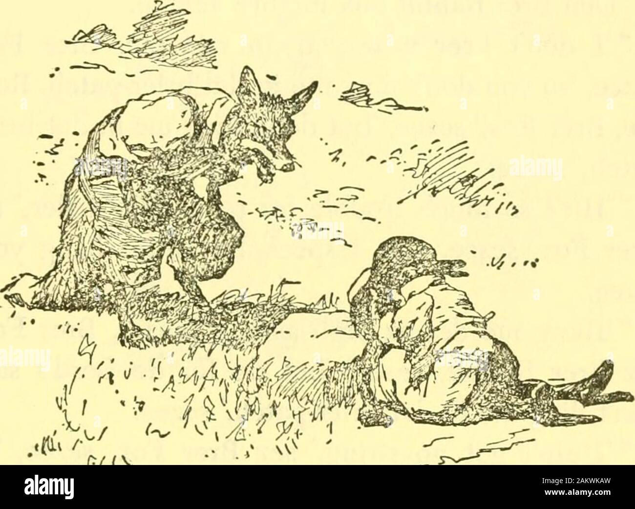 Remus brer hi-res stock photography and images - Alamy