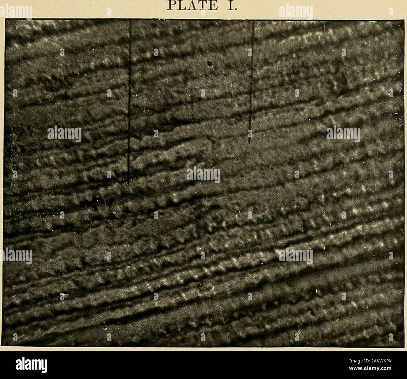 Pickerill hi-res stock photography and images - Alamy