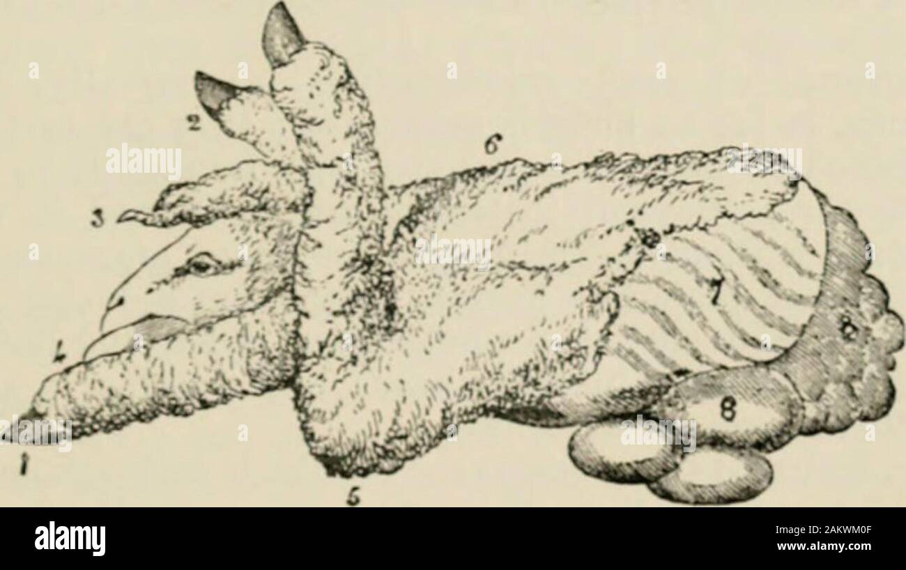 Number thirty nine well hi-res stock photography and images - Alamy