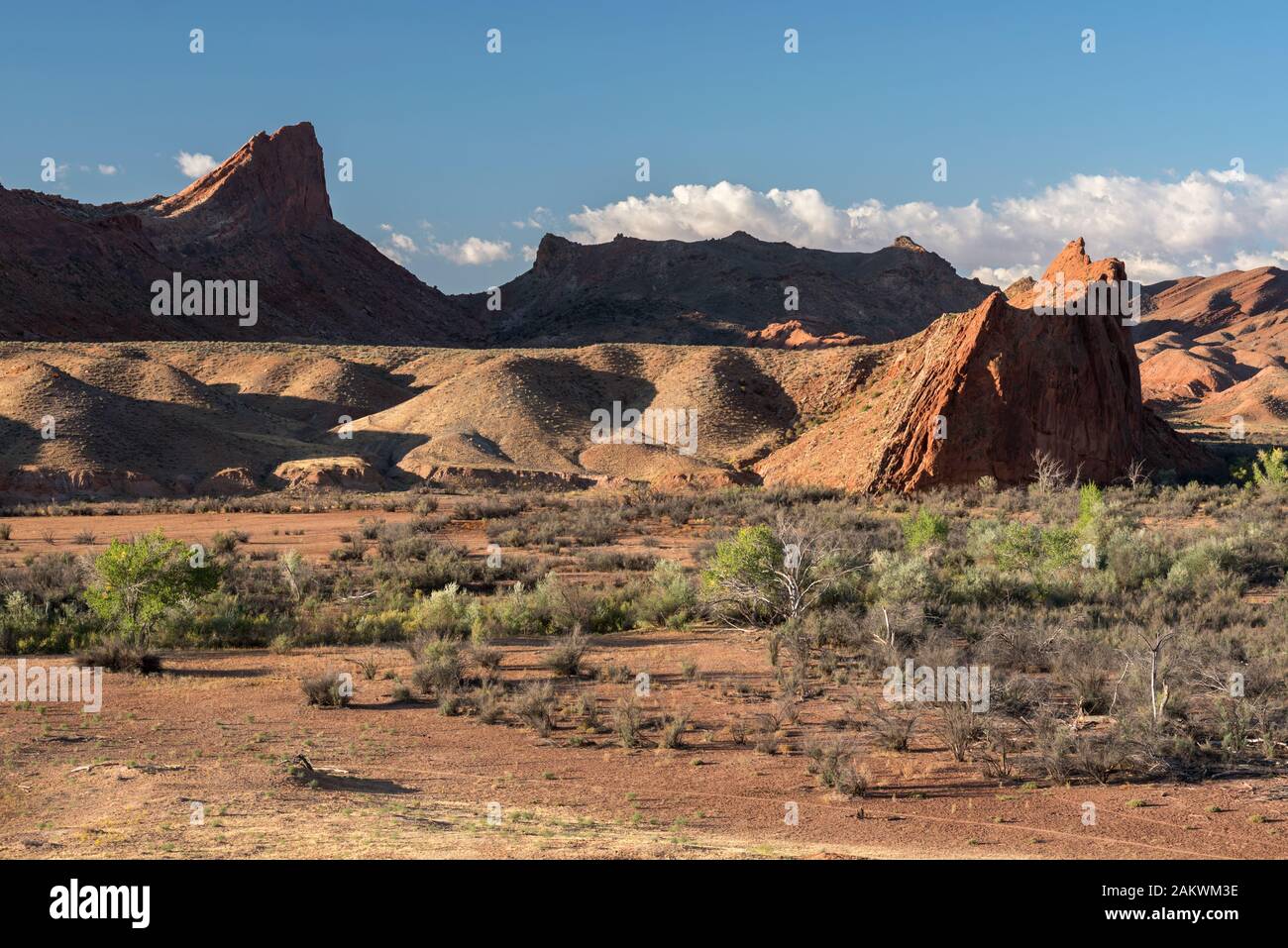 Lower Chinle Wash, Navajo Nation (Utah). Mule Ear Diatreme is in the ...