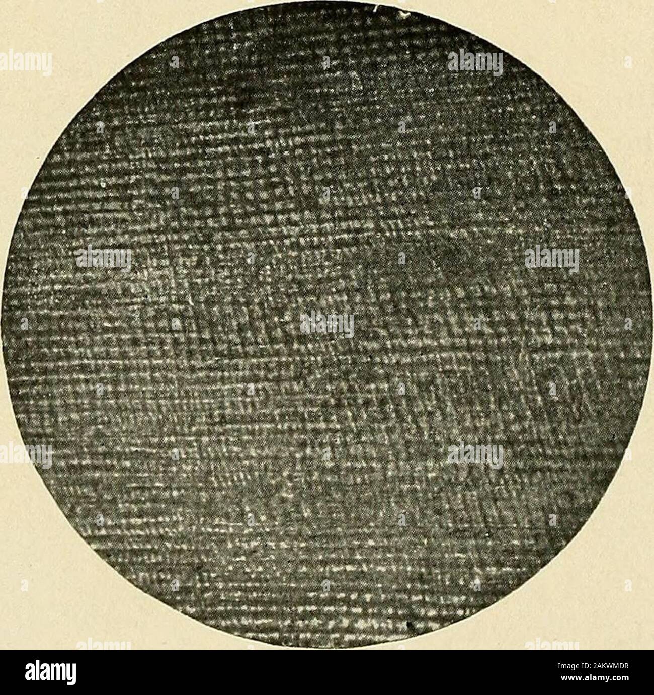 Principles and practice of operative dentistry . Fig. 134.—A ...