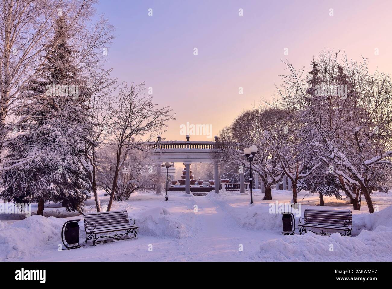 Winter walk through the snow-covered city park between green fir trees ...