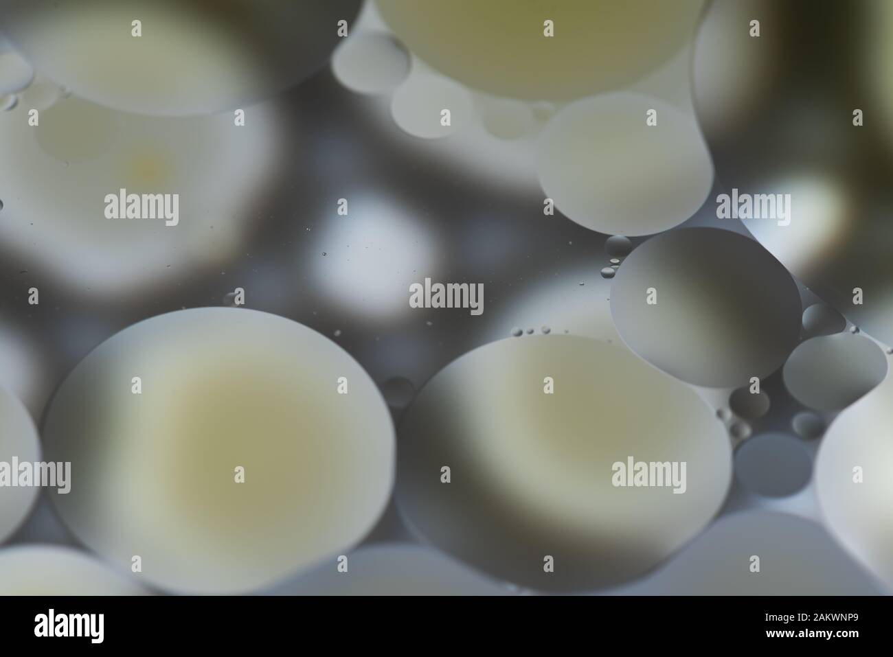 Small circular forms hi-res stock photography and images - Alamy