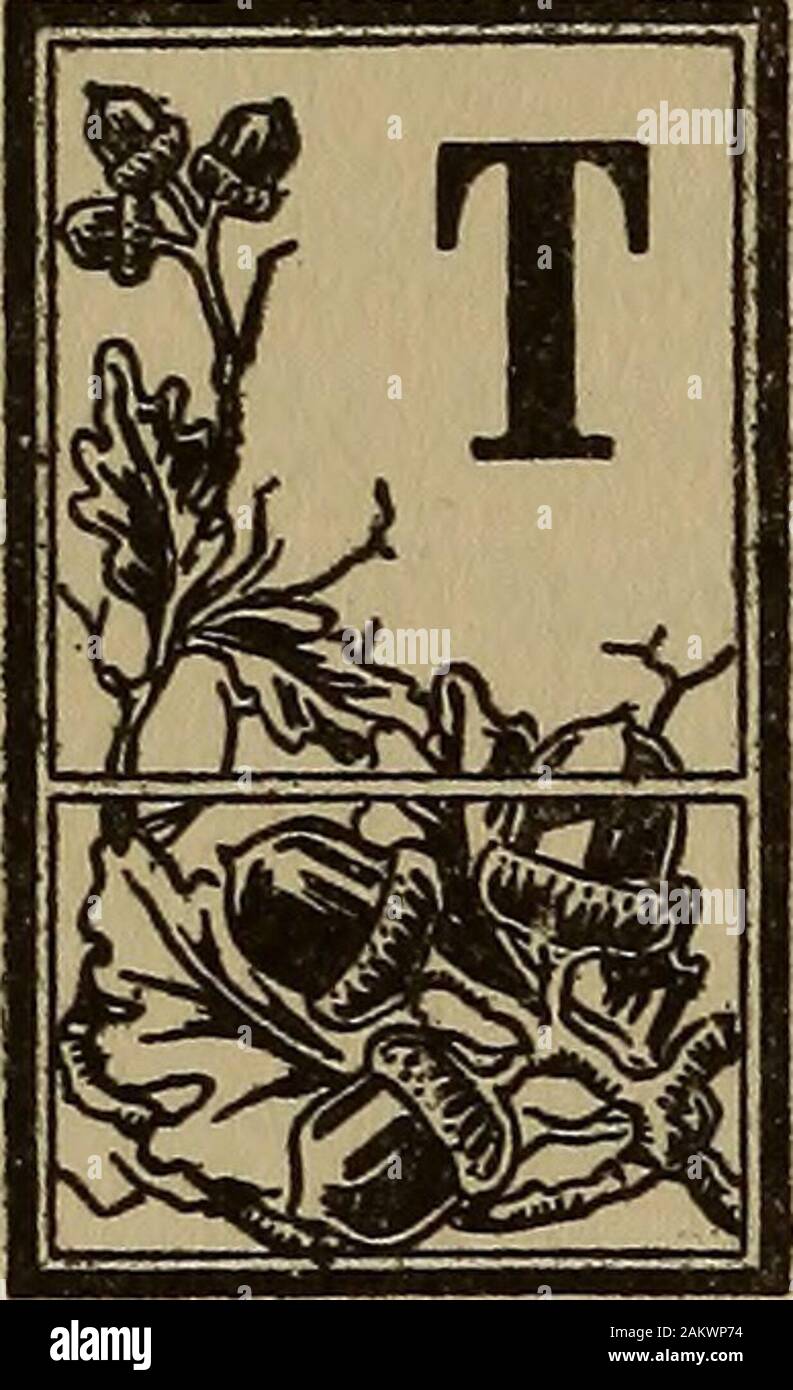 Aw word hi-res stock photography and images - Alamy