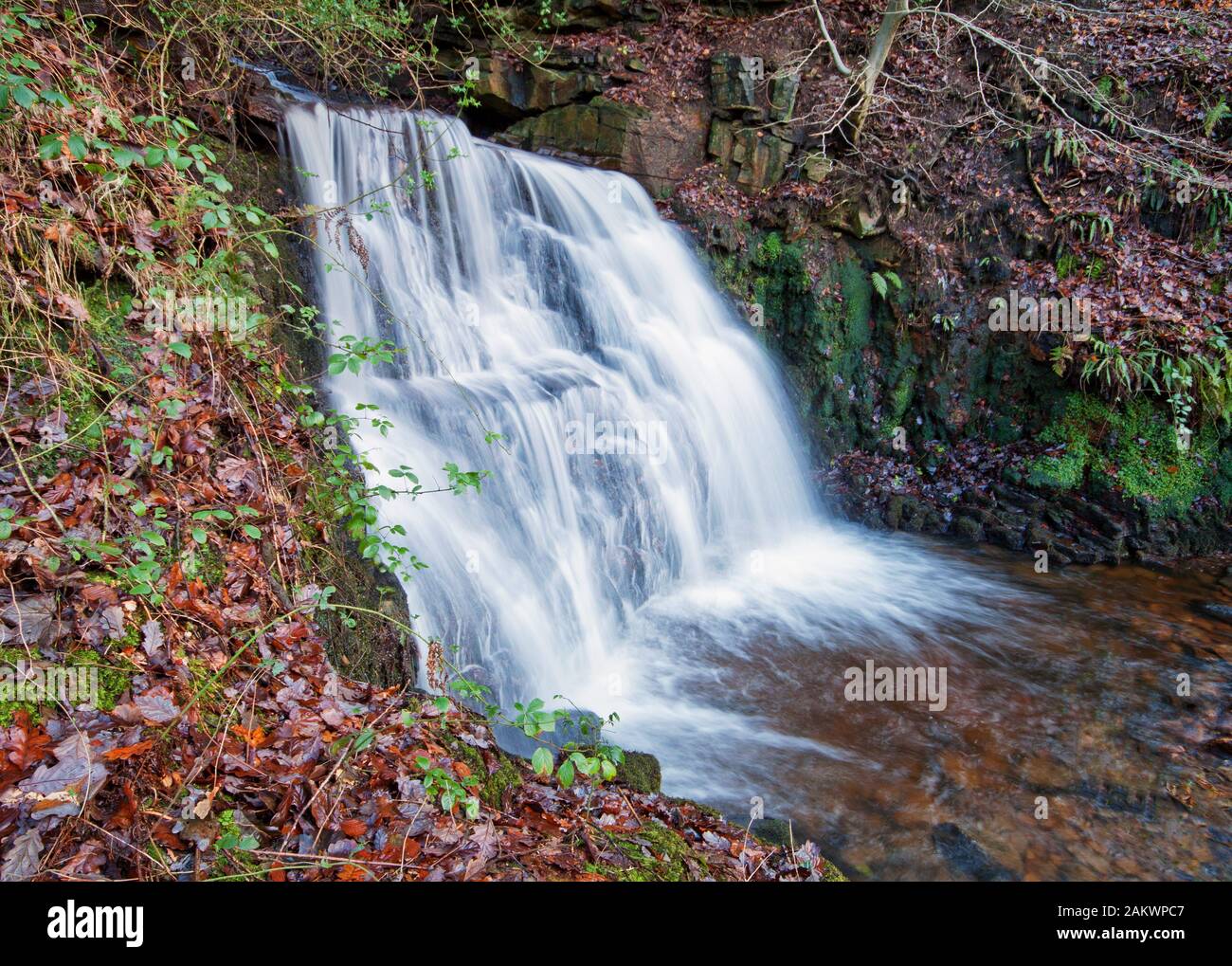 Close to Tiger's Clough waterfall, River Douglas, Rivington, Lancashire ...