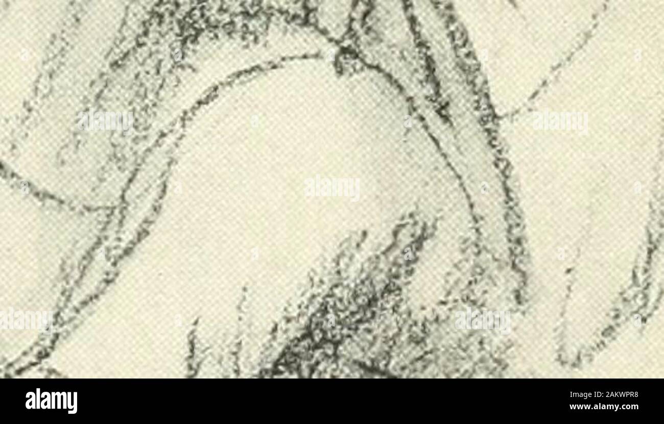 The Slade; a collection of drawings and some pictures done by past and ...
