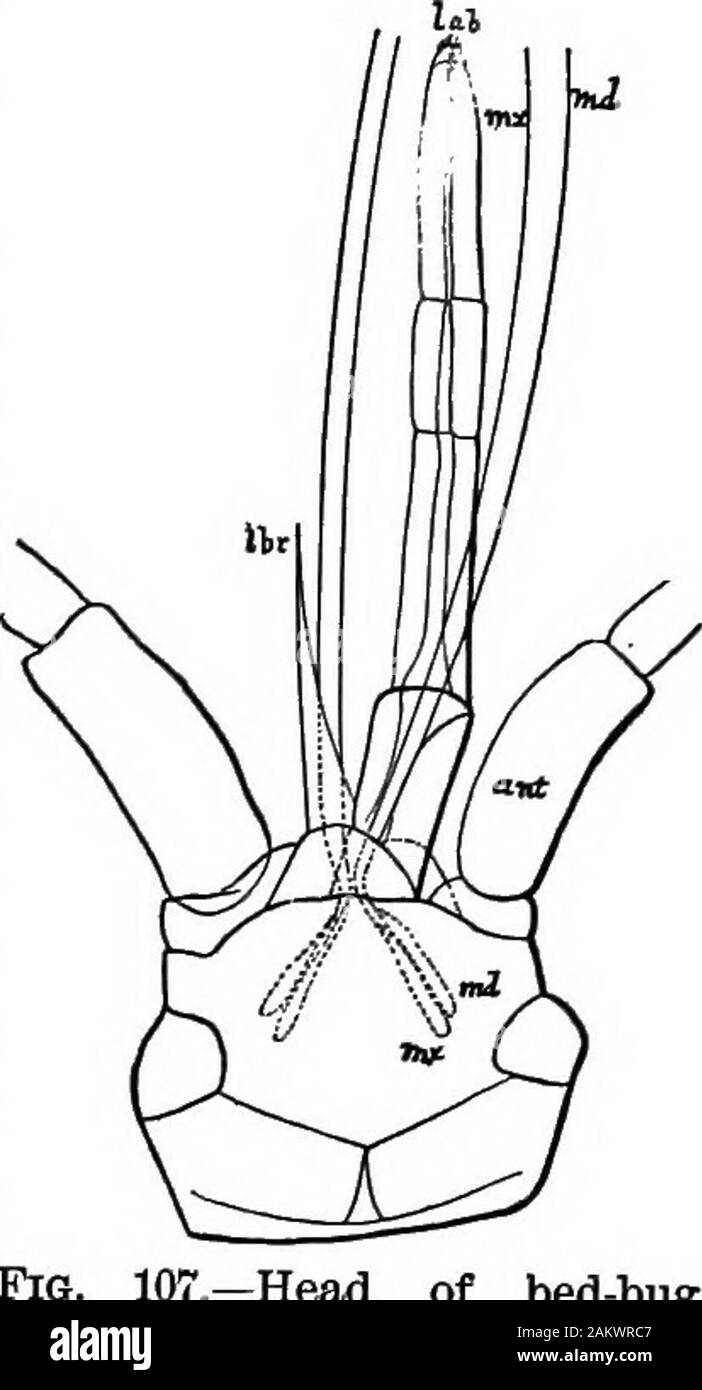Jh han Black and White Stock Photos & Images - Alamy