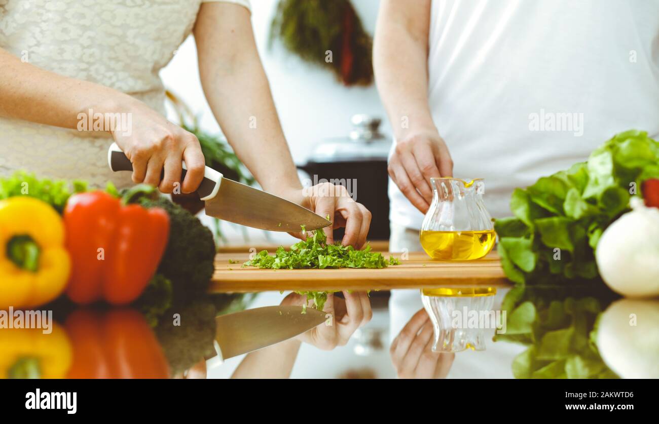 Closeup of human hands cooking in kitchen. Mother and daughter or two ...