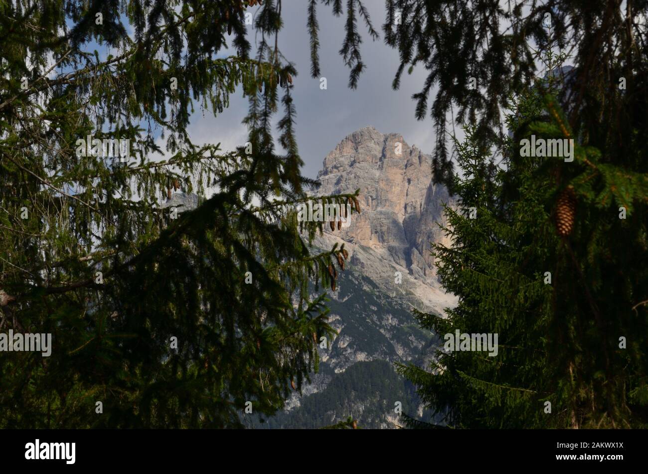 Framed by fir trees hi-res stock photography and images - Alamy