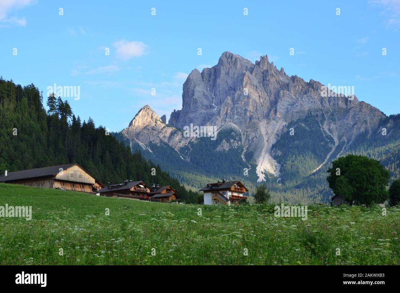 A green corner of the Braies valley Stock Photo - Alamy
