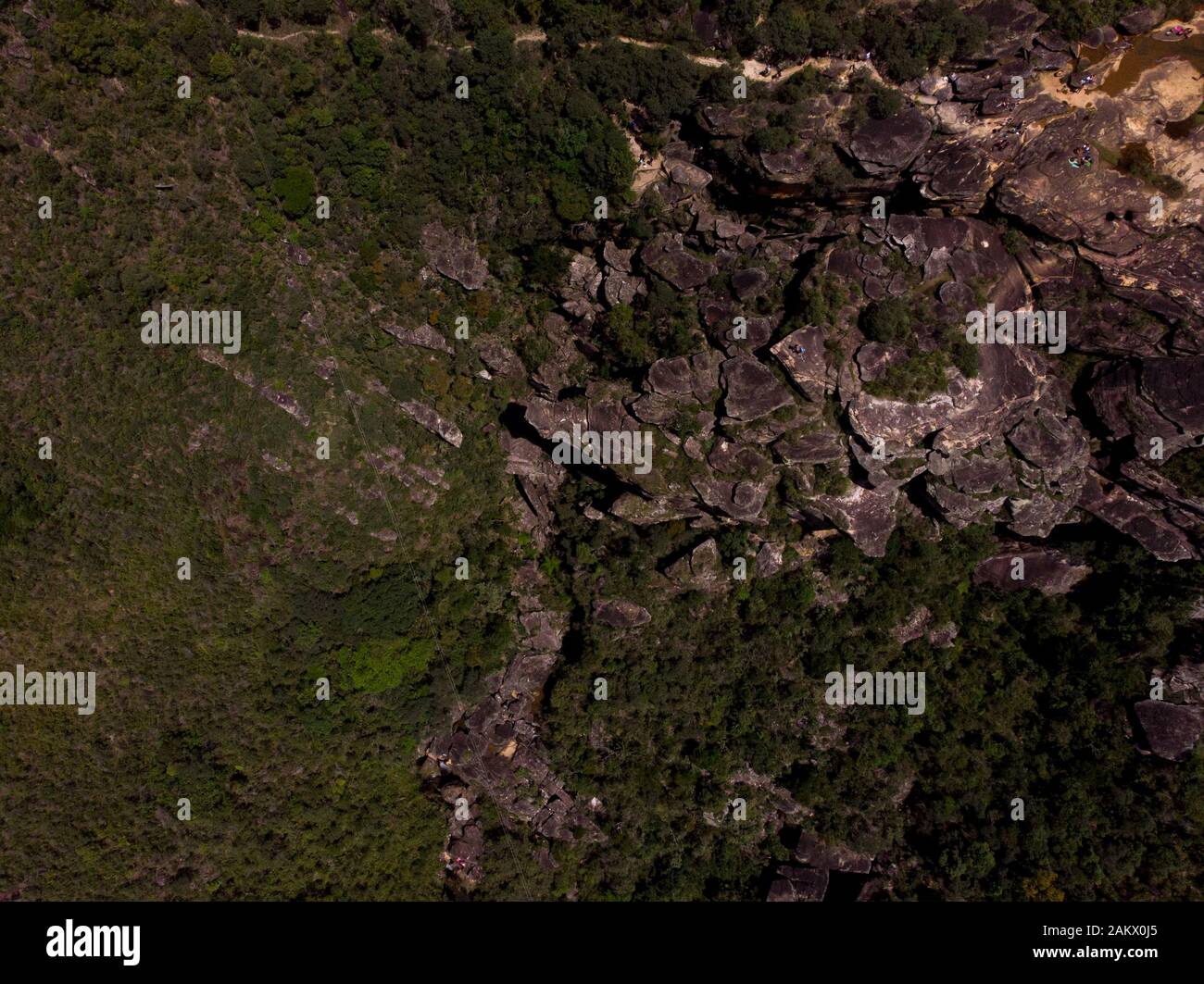 Aerial alligator hi-res stock photography and images - Alamy
