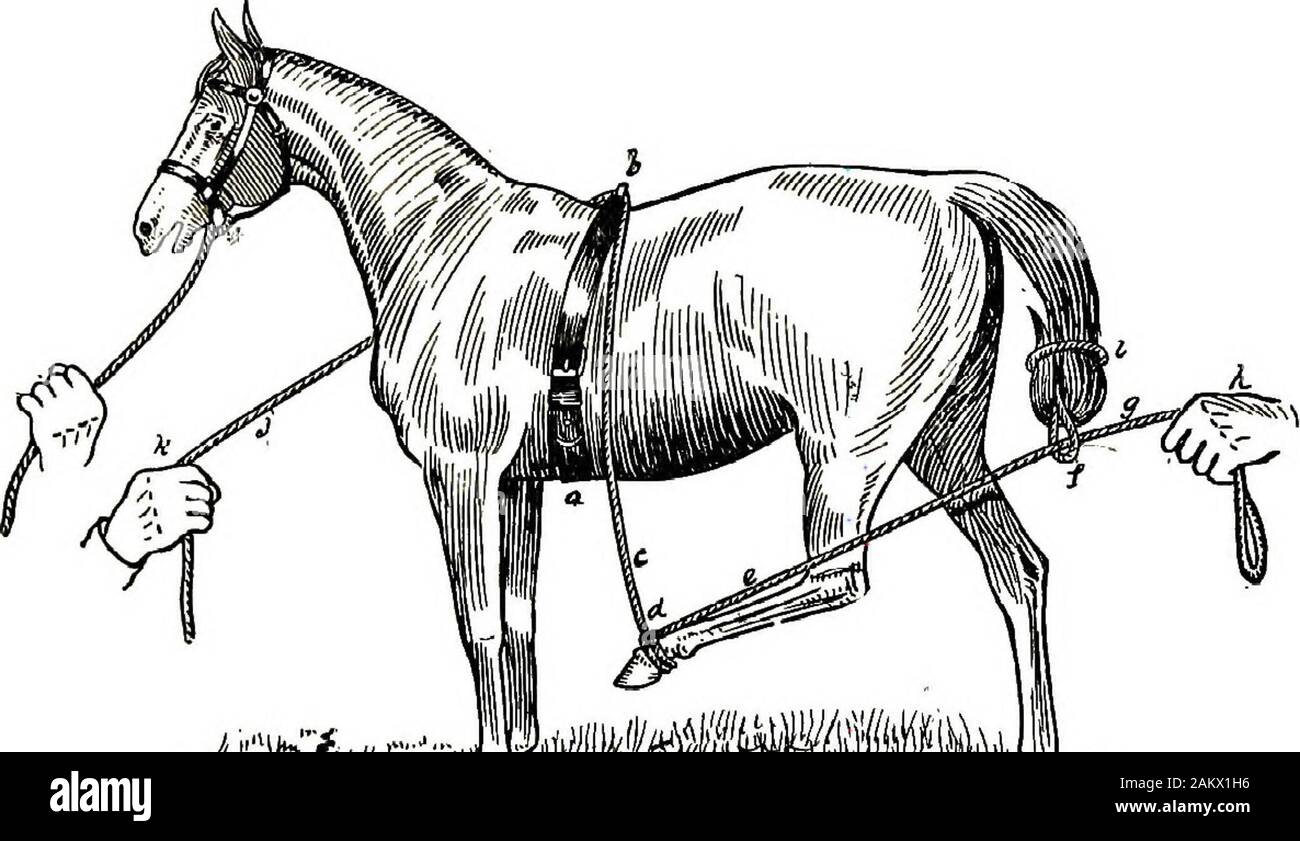 Restraining ring hi-res stock photography and images - Alamy