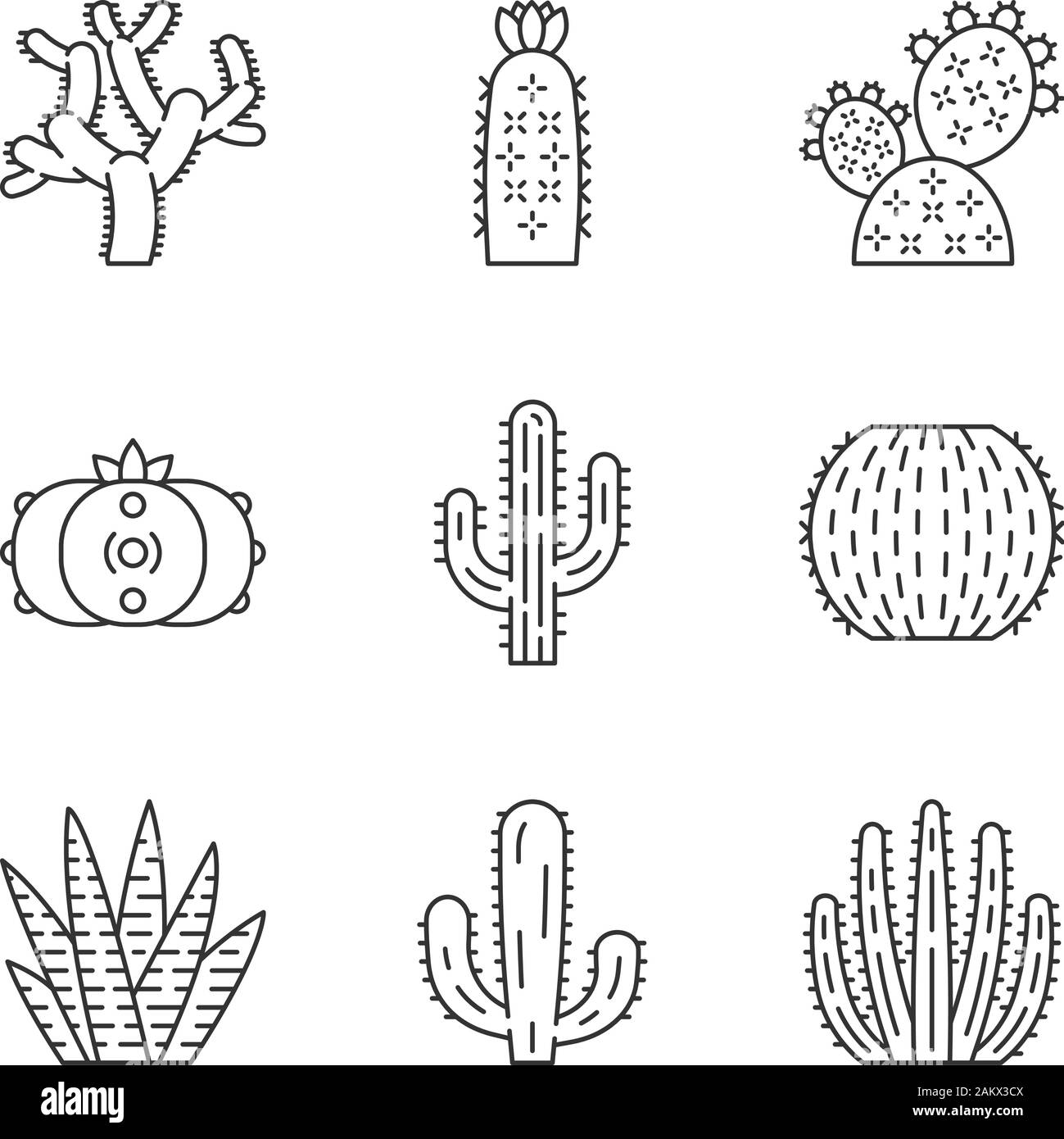 Wild cactuses linear icons set. South American tropical flora ...