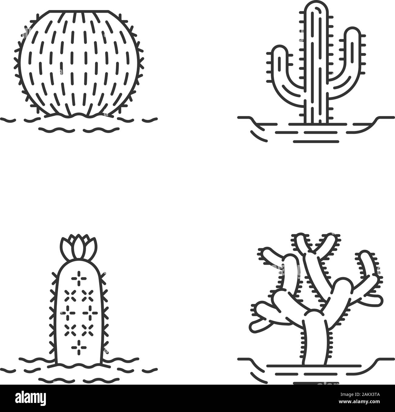 Wild cacti in land linear icons set. Tropical succulent. Spiny plant ...