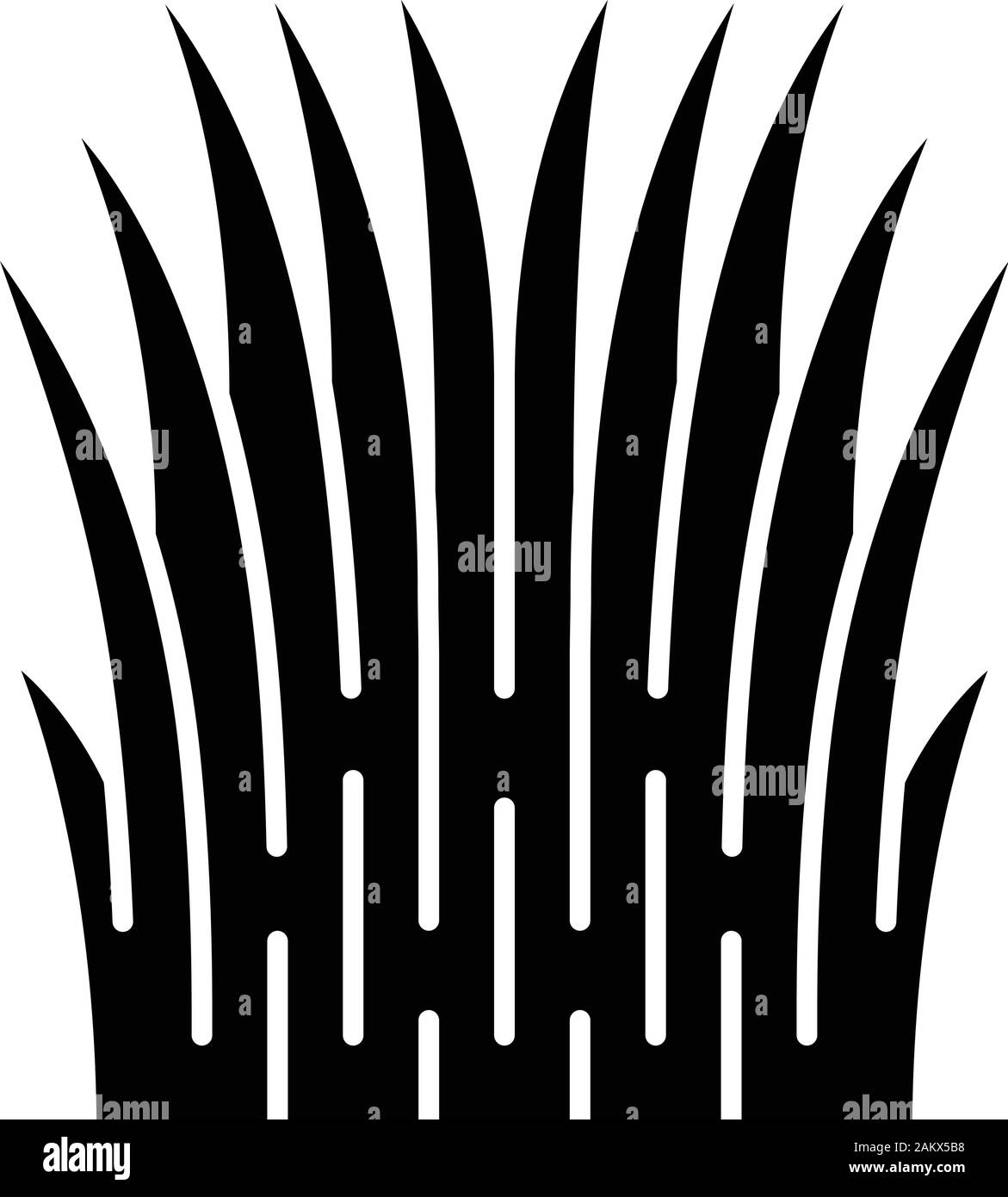 Tenuissima Stock Vector Images - Alamy