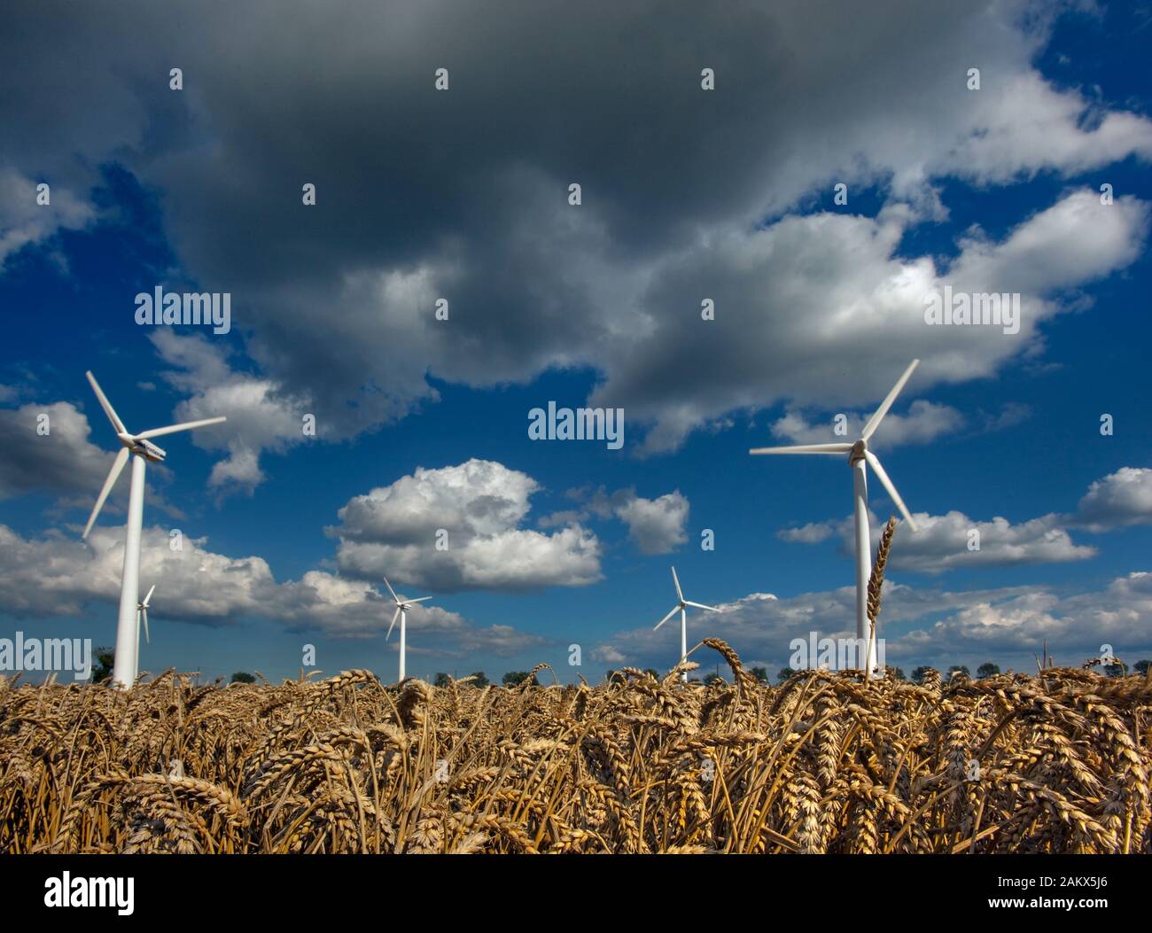 Onshore generating station hi-res stock photography and images - Alamy