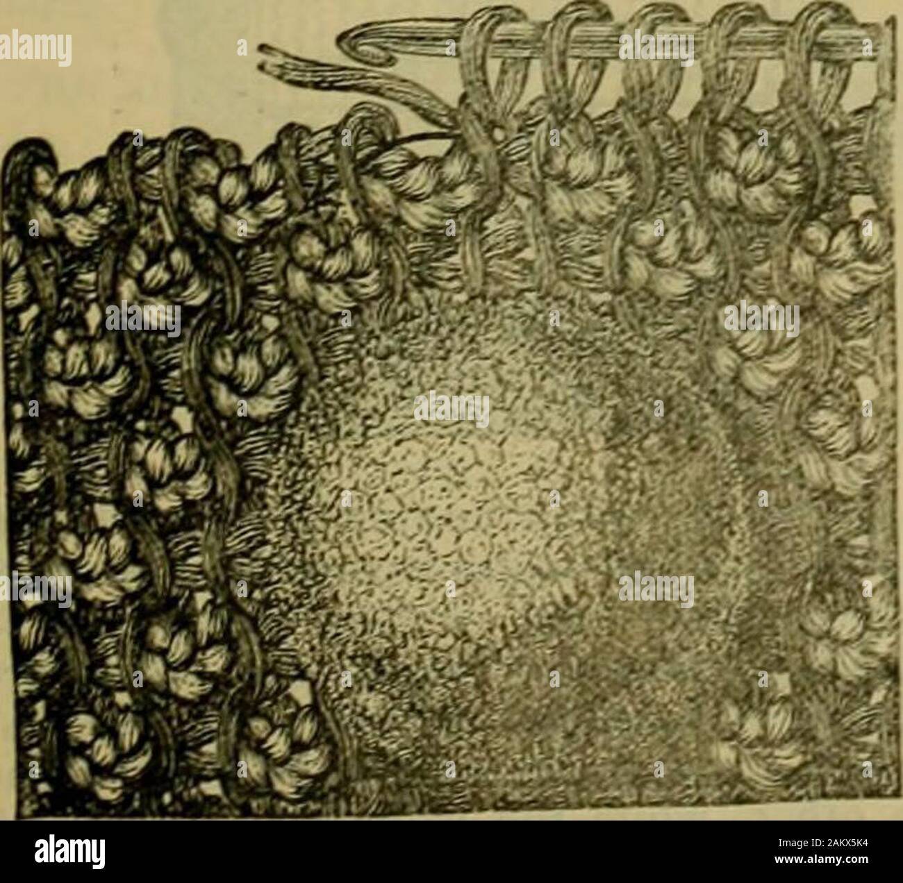 Undone stitches hi-res stock photography and images - Alamy