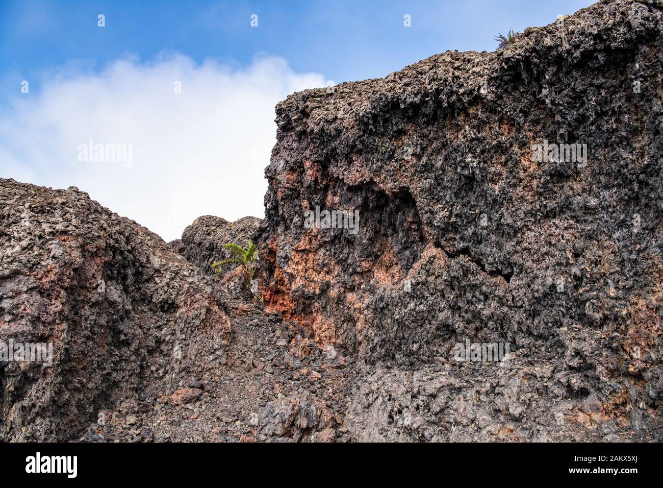 end face of a lava flow showing textured and rough surface on Big ...