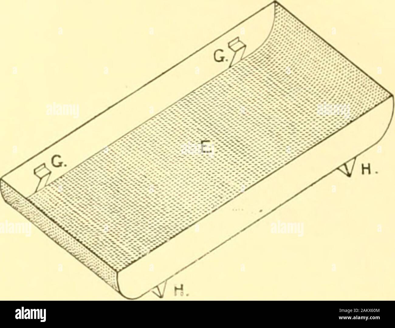 Hatching tray hi-res stock photography and images - Alamy