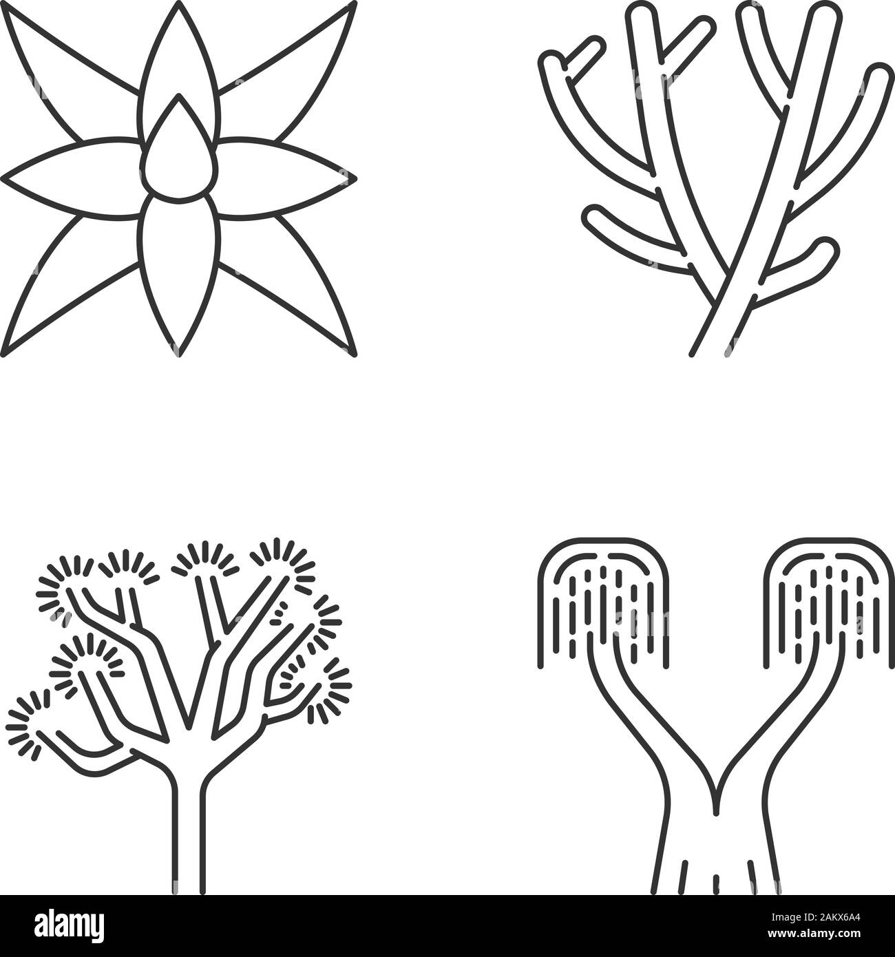 Desert plants linear icons set. Exotic flora. Fox tale agave, pencil ...