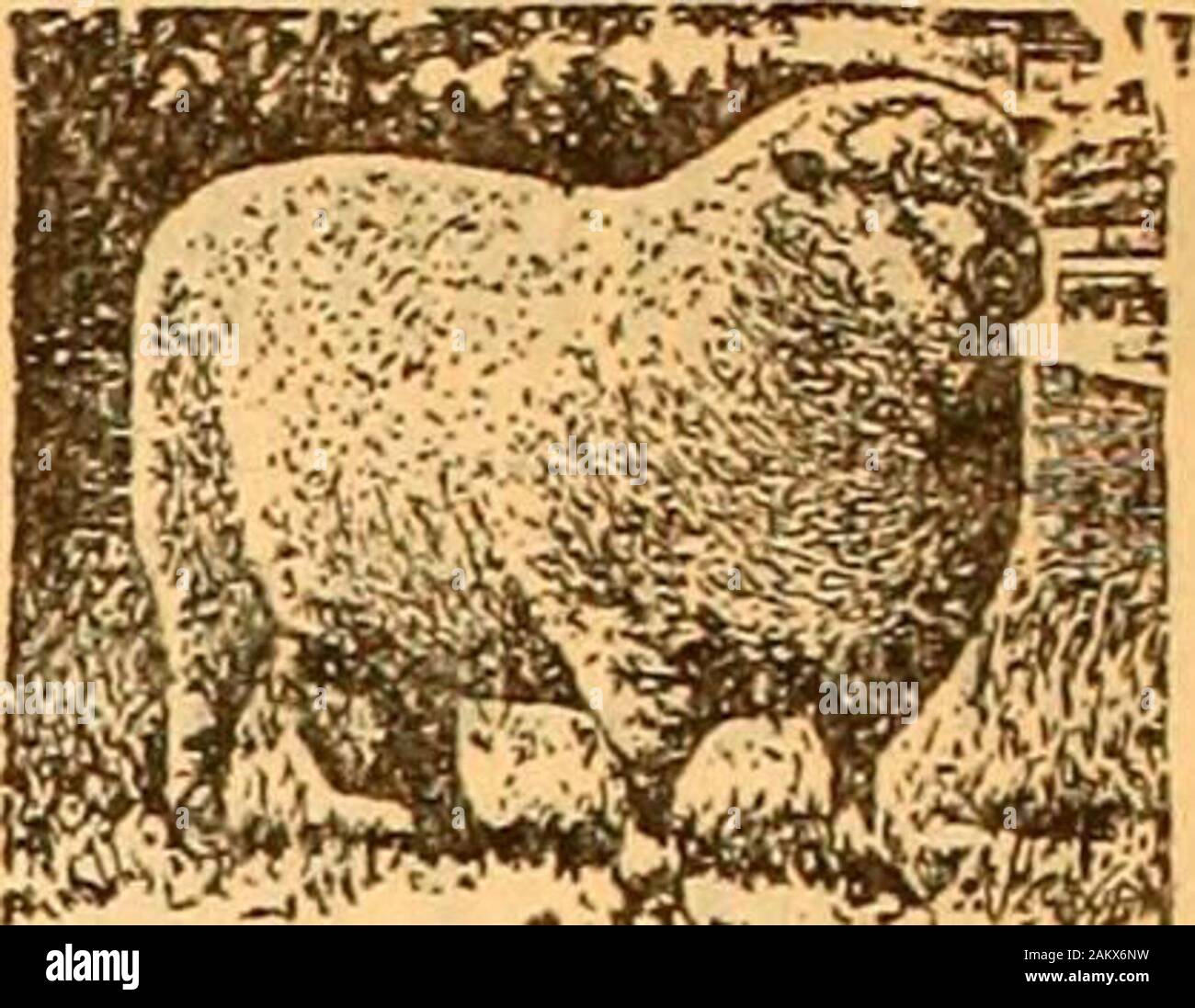 Baling presses hi-res stock photography and images - Alamy