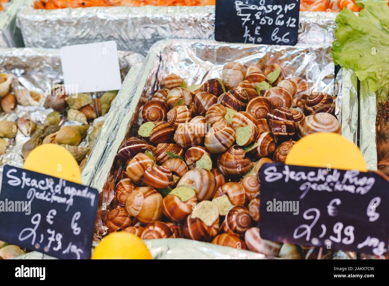 Snails sea food hi-res stock photography and images - Alamy