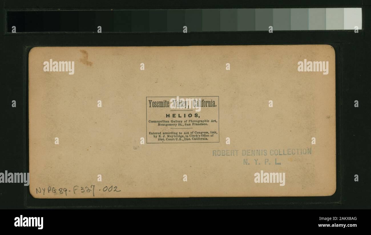 Sawing section of the Original, 98 feet at base by Eadweard Muybridge ...