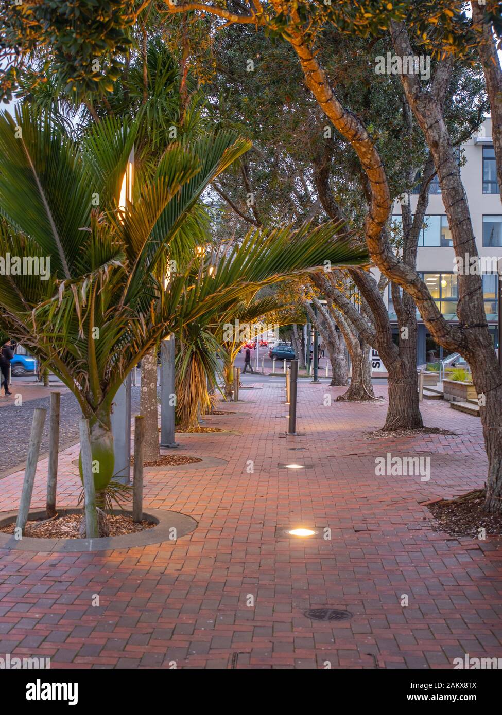 Cobblestone Pavement And Lighting Stock Photo - Alamy