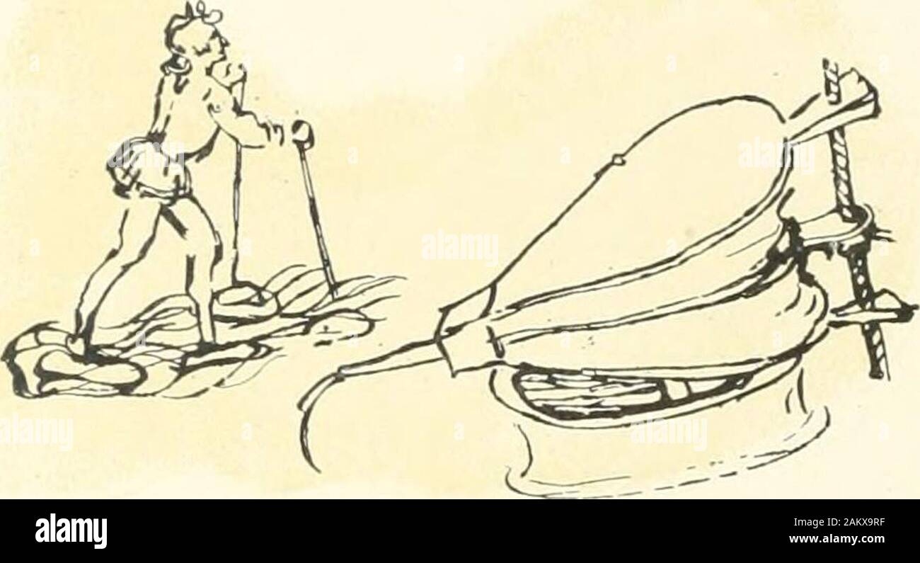 Aerial locomotion hi-res stock photography and images - Alamy