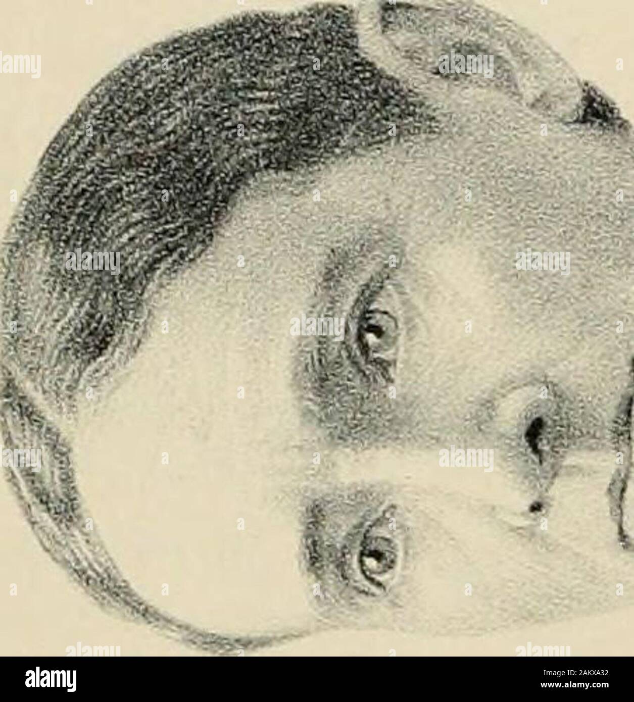 Elizabeth kirby hi-res stock photography and images - Alamy