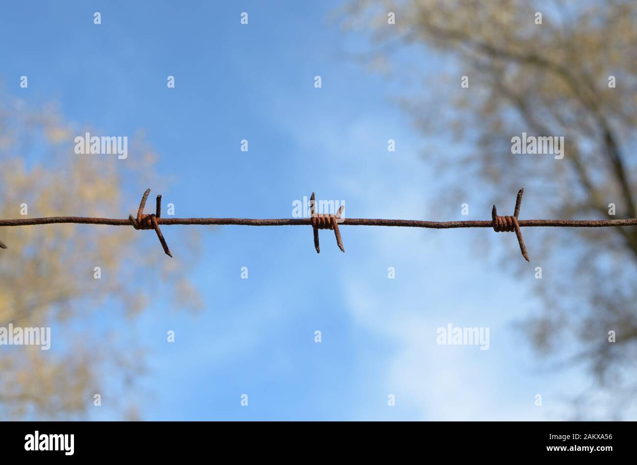 Artificial barrier hi-res stock photography and images - Alamy