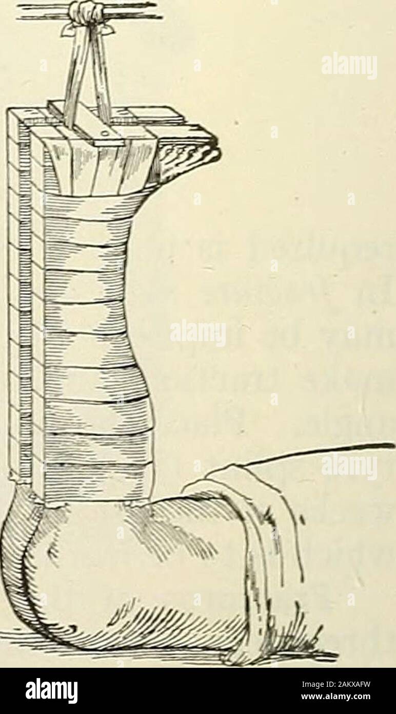 Fastened on cardboard hi-res stock photography and images - Alamy