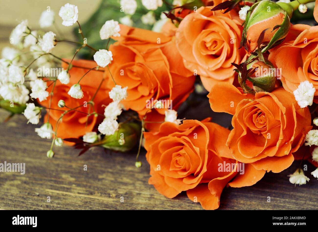Orange flower rose on old hi-res stock photography and images - Alamy