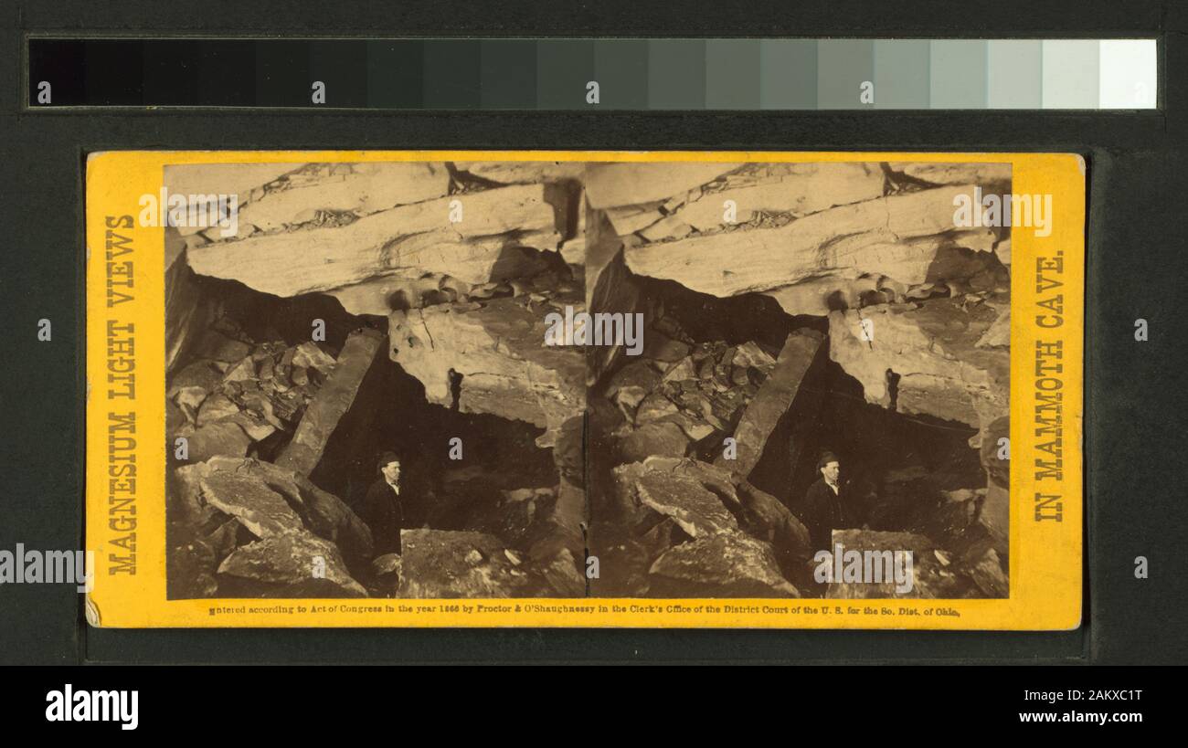 Scotchman's trap by E. & H.T. Anthony & Company.; Scotchman's trap ...