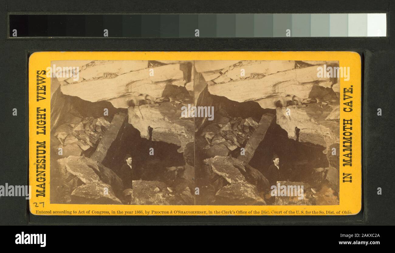 Scotchman's trap by E. & H.T. Anthony & Company.; Scotchman's trap ...