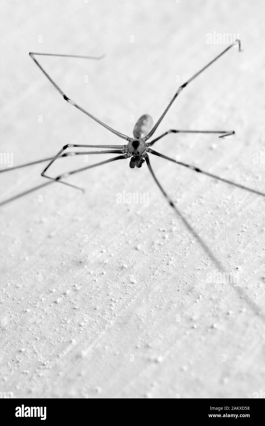 A big bite Black and White Stock Photos & Images - Alamy