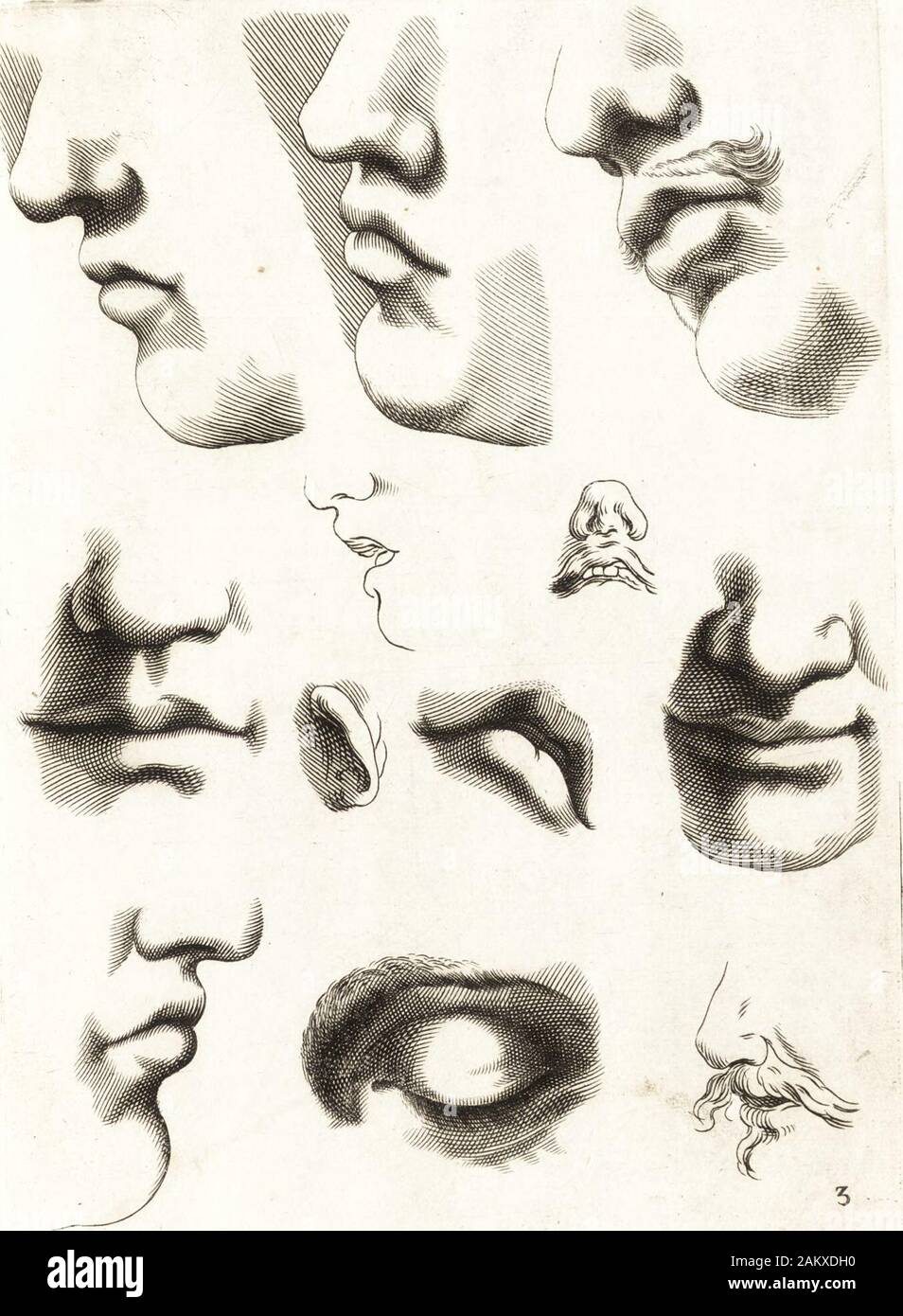 Limning hi-res stock photography and images - Alamy