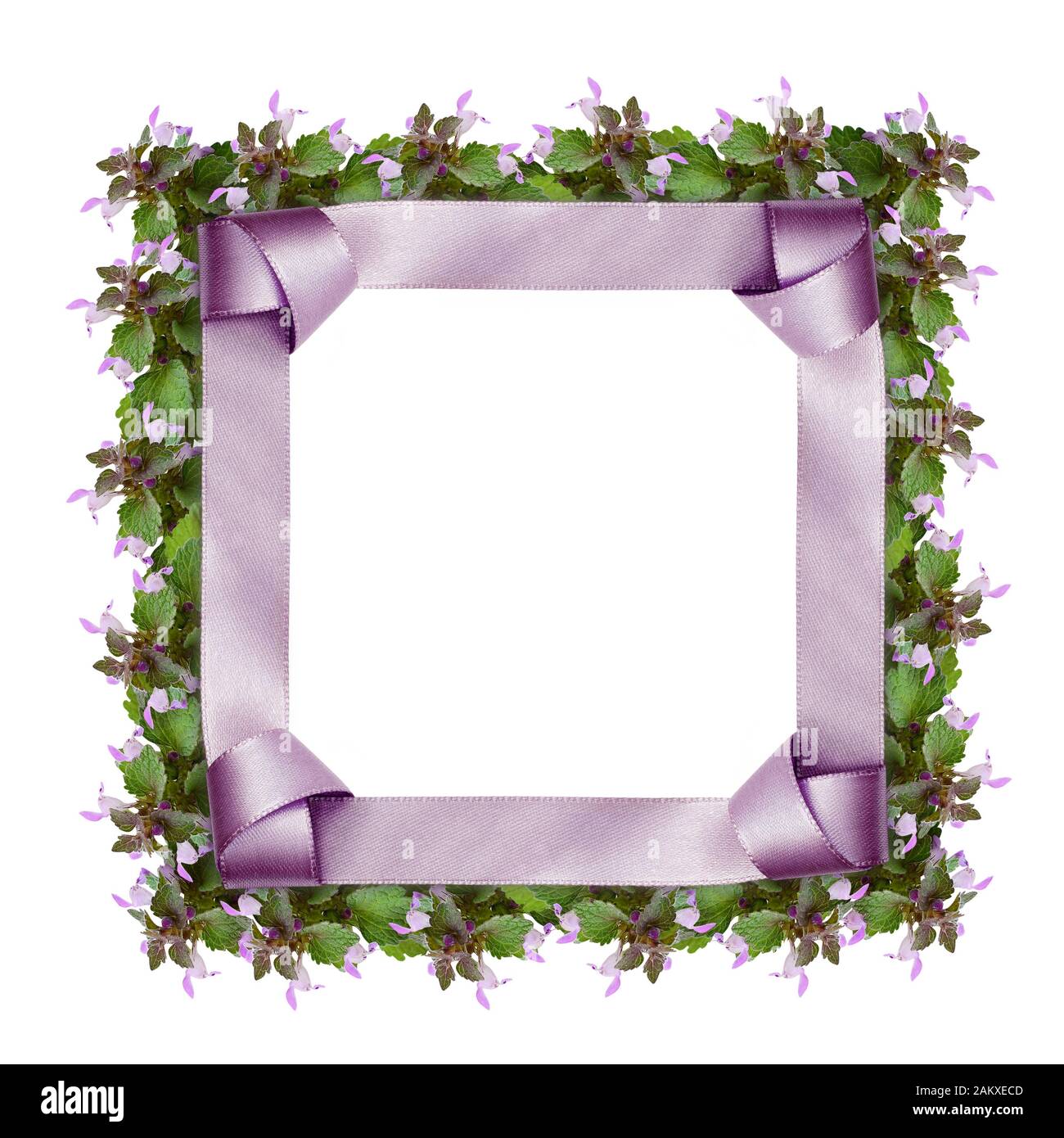 Satin frame with knots and flowers isolated on white Stock Photo - Alamy
