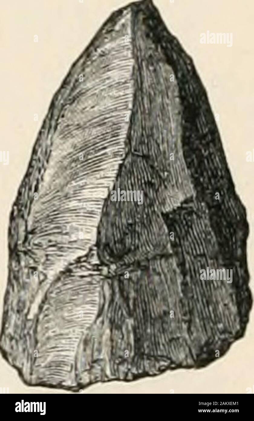 Flint core hi-res stock photography and images - Alamy