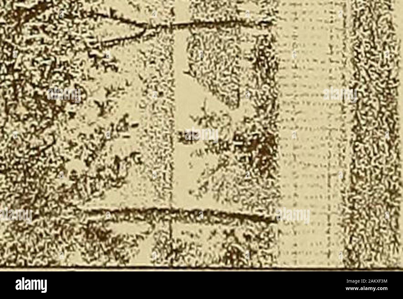 1620 1637 hi-res stock photography and images - Alamy