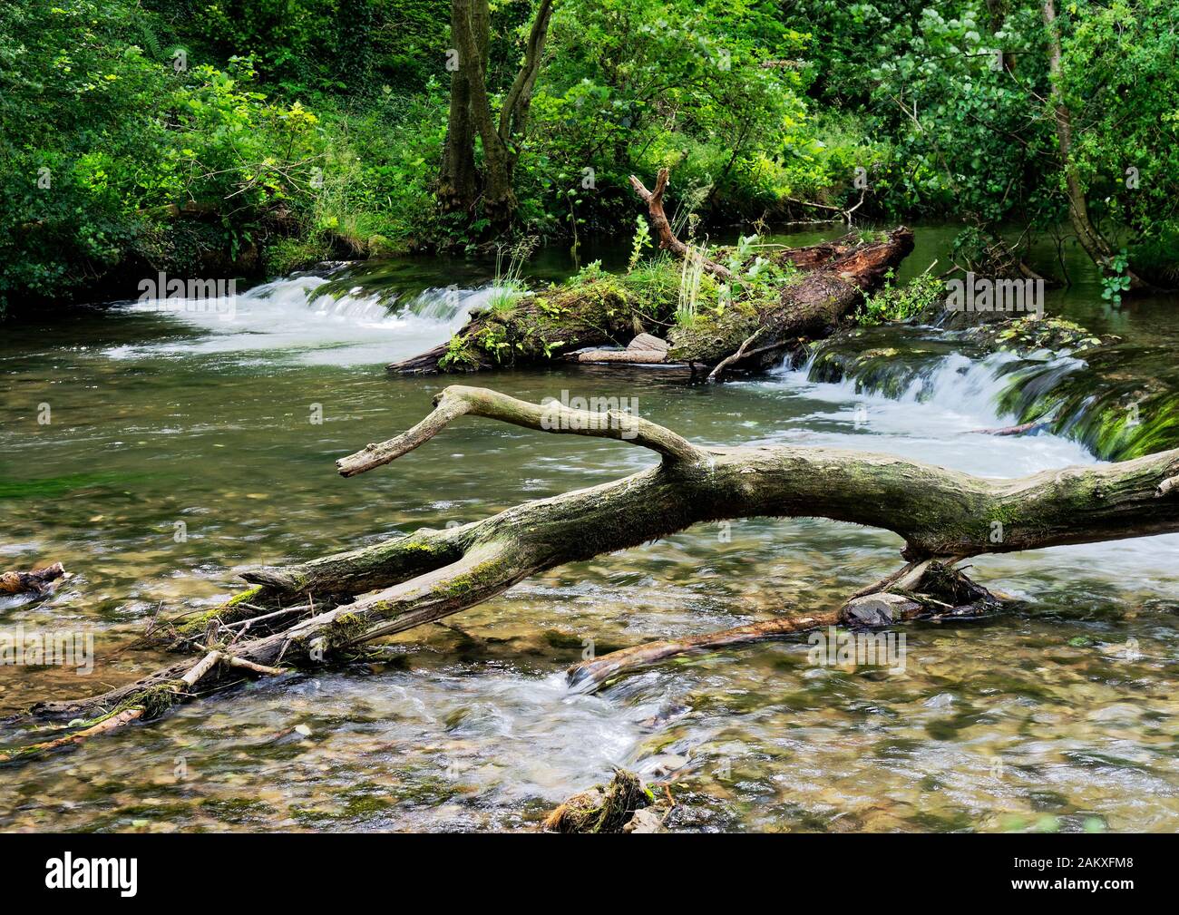 The narrow gorge of the River Dove upstream from the stepping stones in ...
