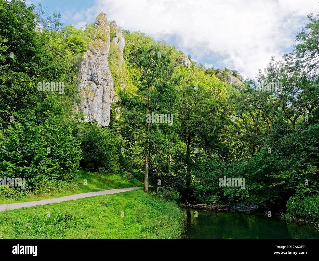 Thew spectacular limestone pinnacles of Pickering Tor in Dovedale, a ...