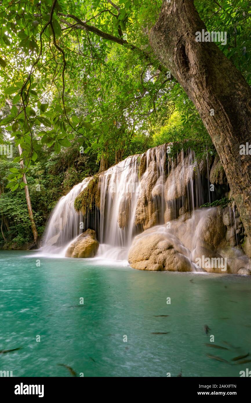 Clean green emerald water from the waterfall Surrounded by small trees ...