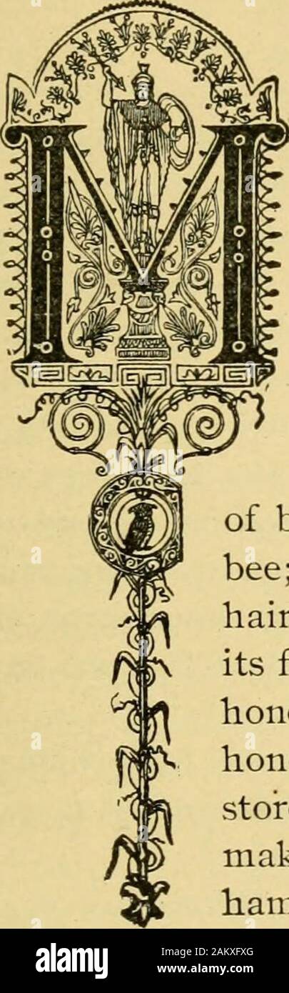 God the geometer hi-res stock photography and images - Alamy