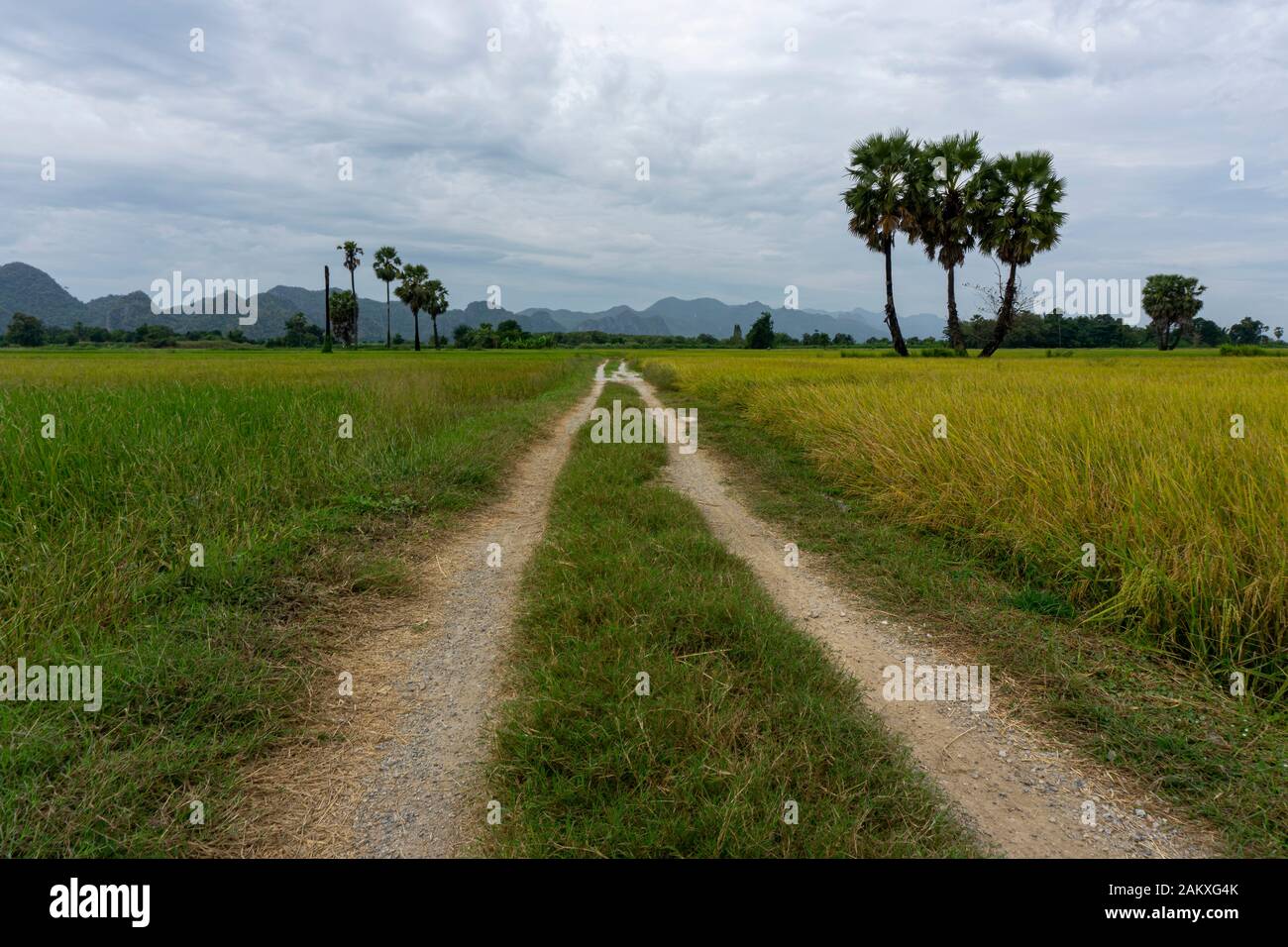 Grassed areas hi-res stock photography and images - Alamy