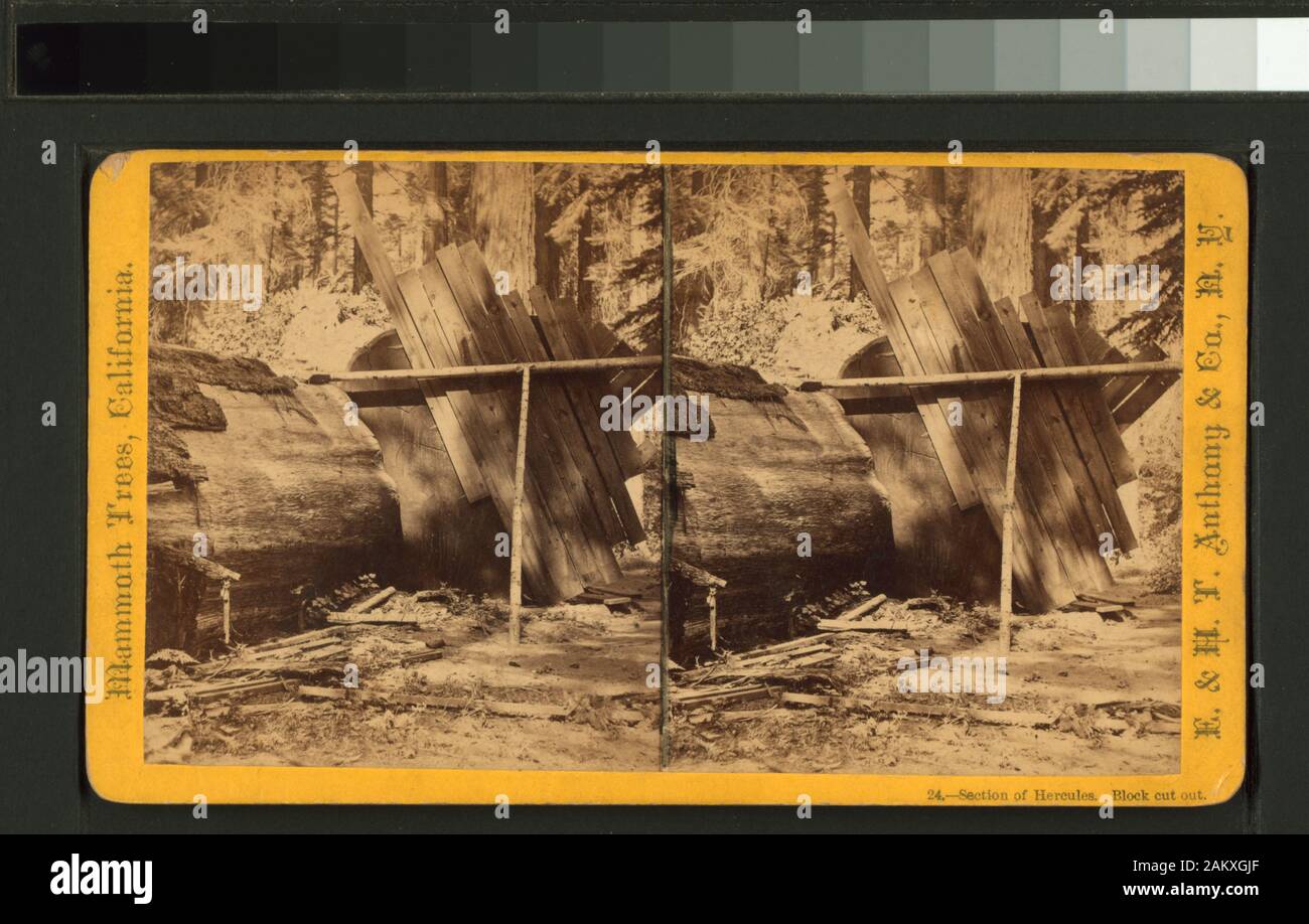 Section of Hercules, Block cut out by E. & H. T. Anthony.; Section of ...